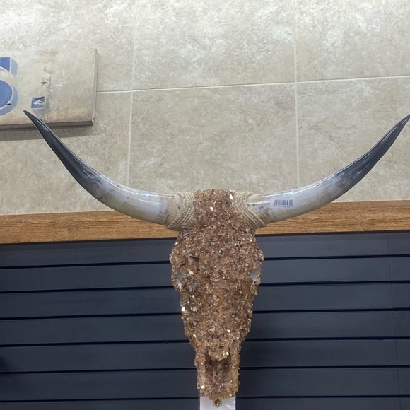 Wall Decor | Crystal Bull Skull | Poshmark